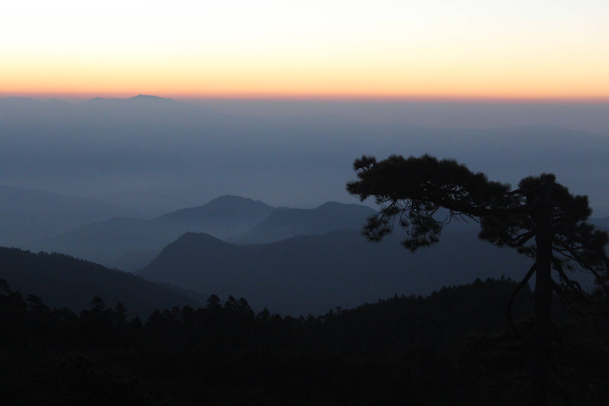 Albora: Geografía de la esperanza en México – Albora